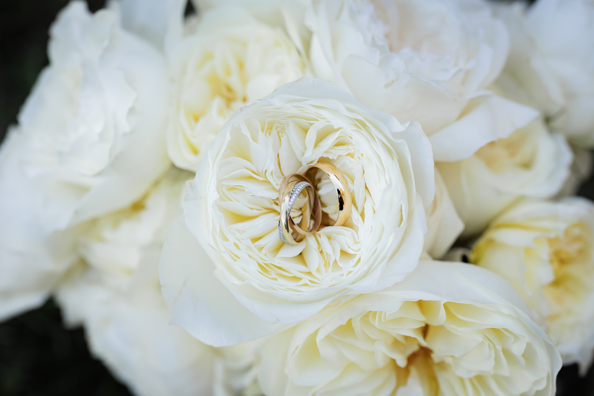 Week Of Day Of Wedding Tips Modernmomentsphoto